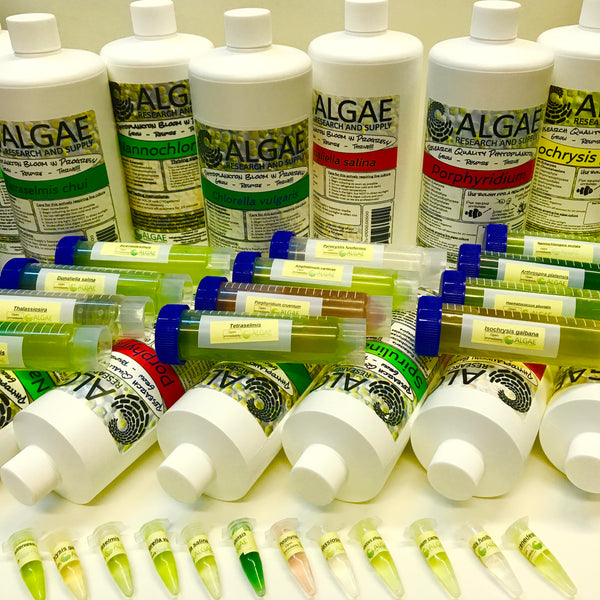 Algae Cultures - Algae Research Supply