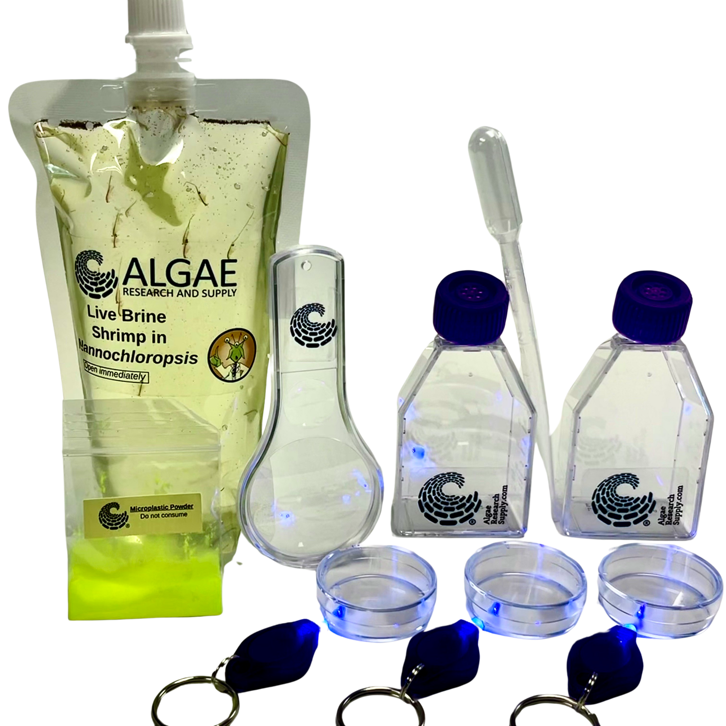 Brainy Briny Fake Fluorescent Food: Microplastic zooplankton bioaccumu ...