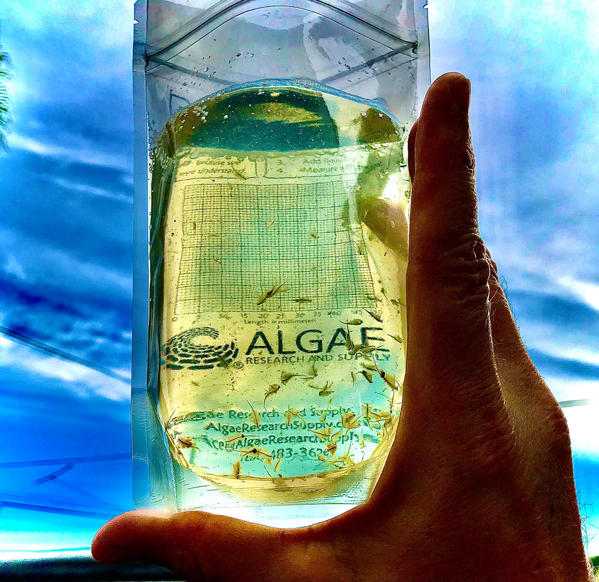 Algae Research Supply