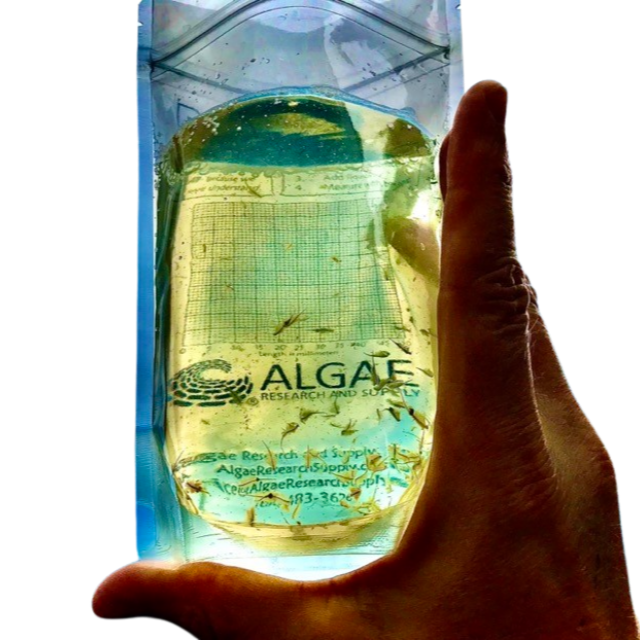 Resources – Algae Research Supply