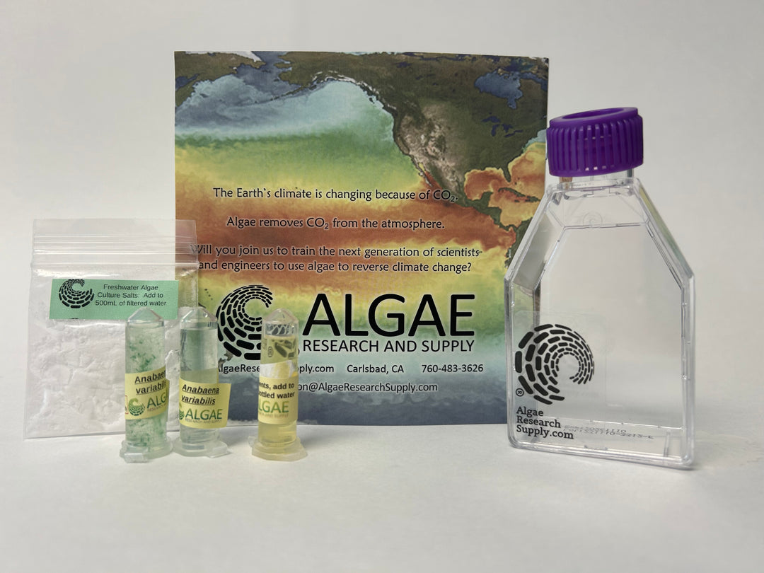 Algae Culture Kit and Growing Supplies – Algae Research Supply