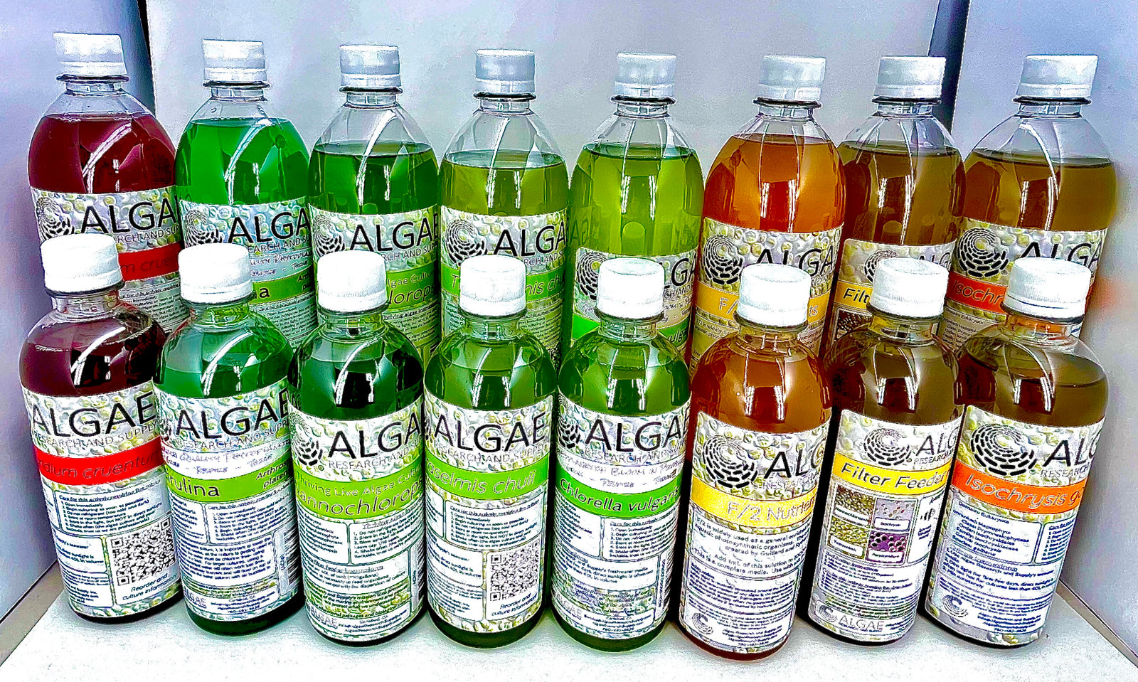 Algae Culture Kit and Growing Supplies – Algae Research Supply