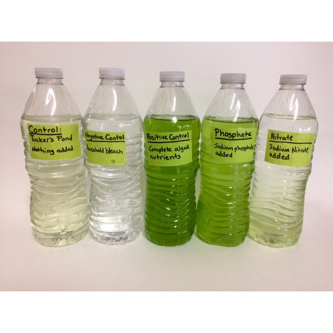 Copepods: Life Cycle – Algae Research Supply