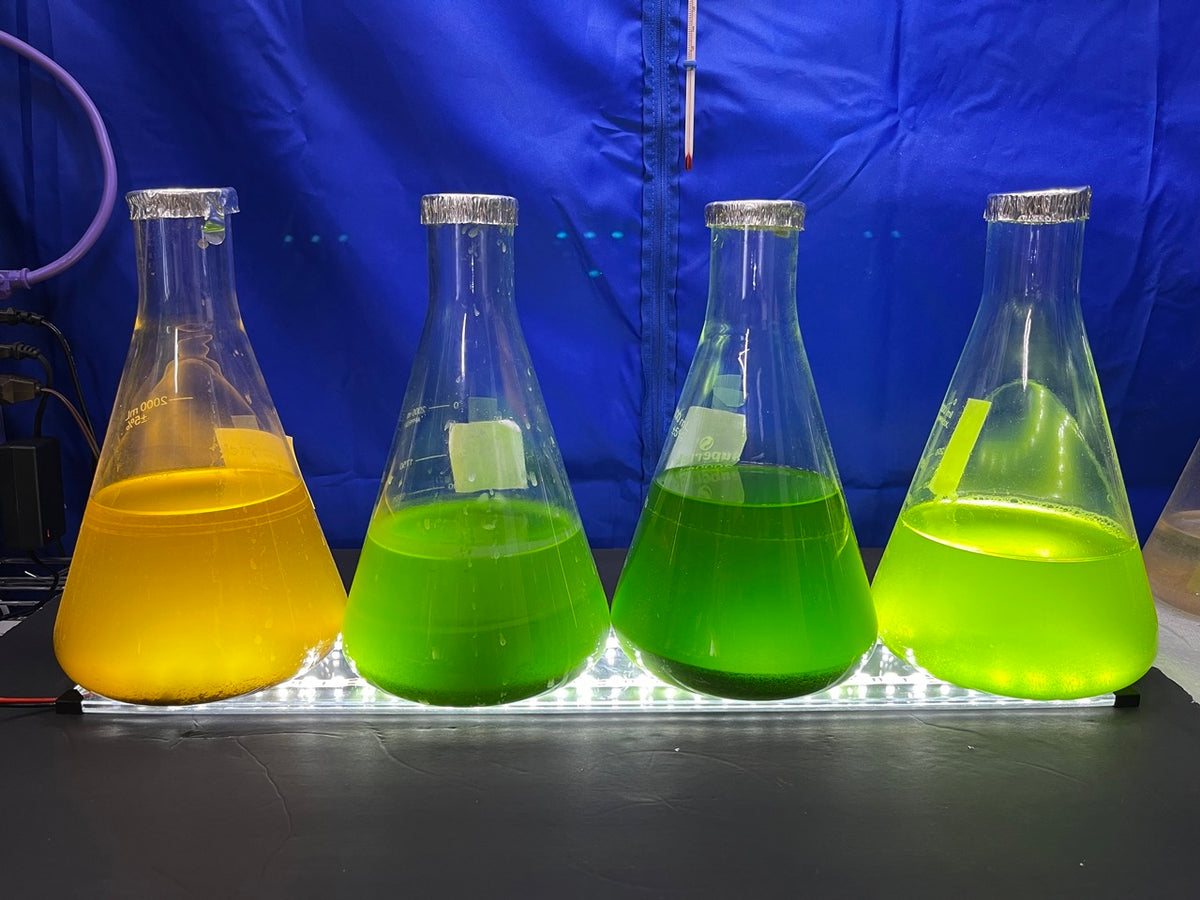 Benchtop Algae Light - Algae Research Supply