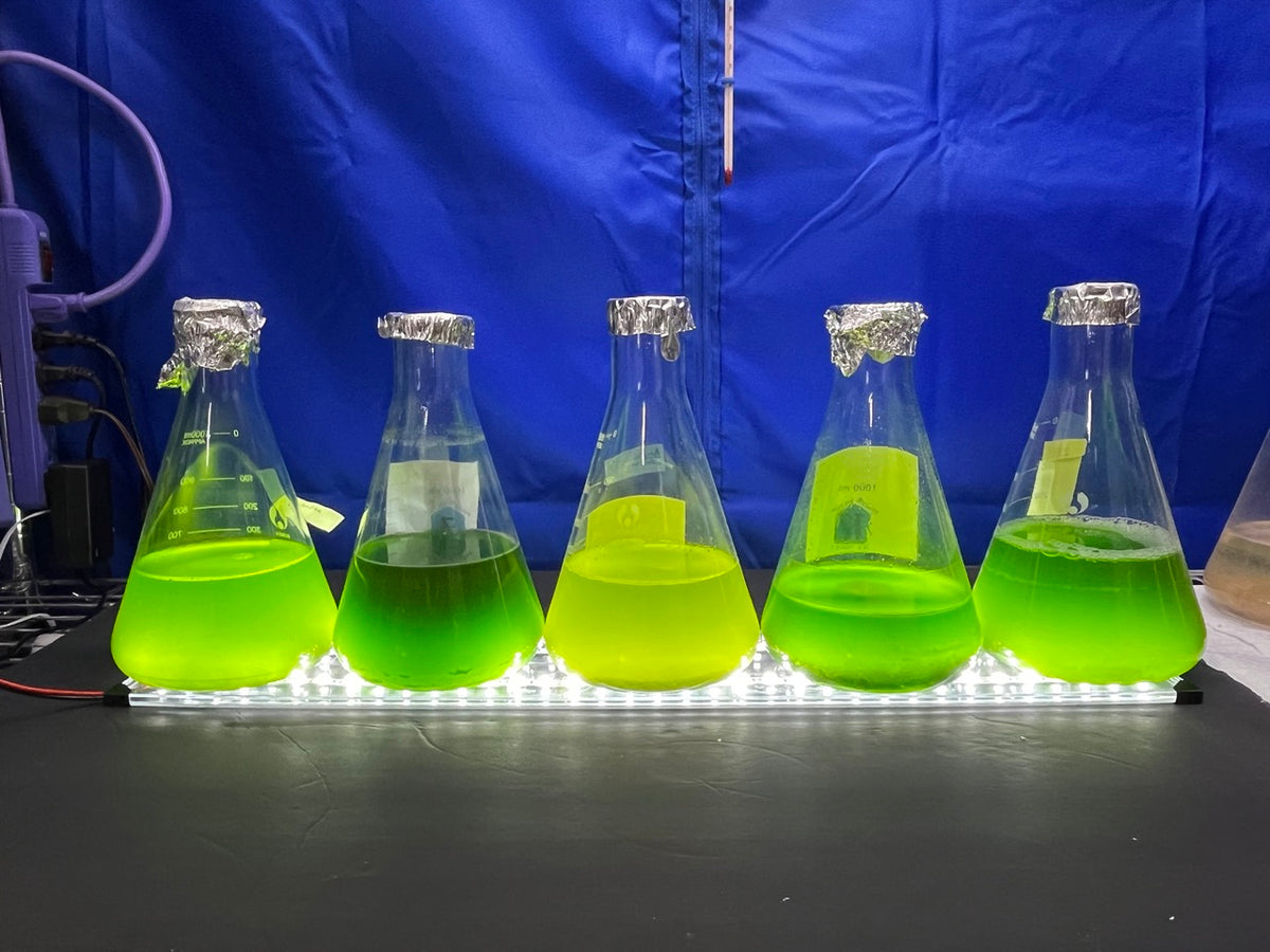 Benchtop Algae Light - Algae Research Supply