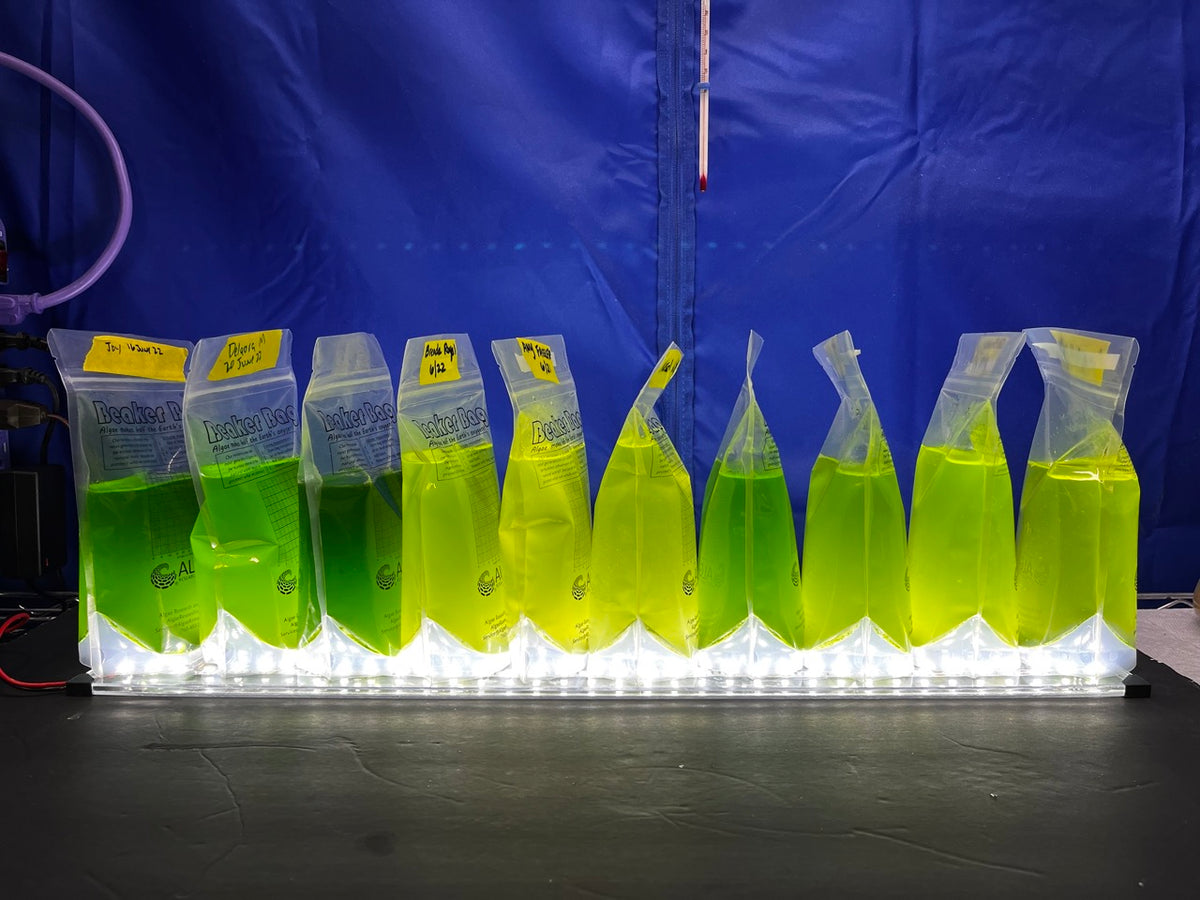 Benchtop Algae Light - Algae Research Supply