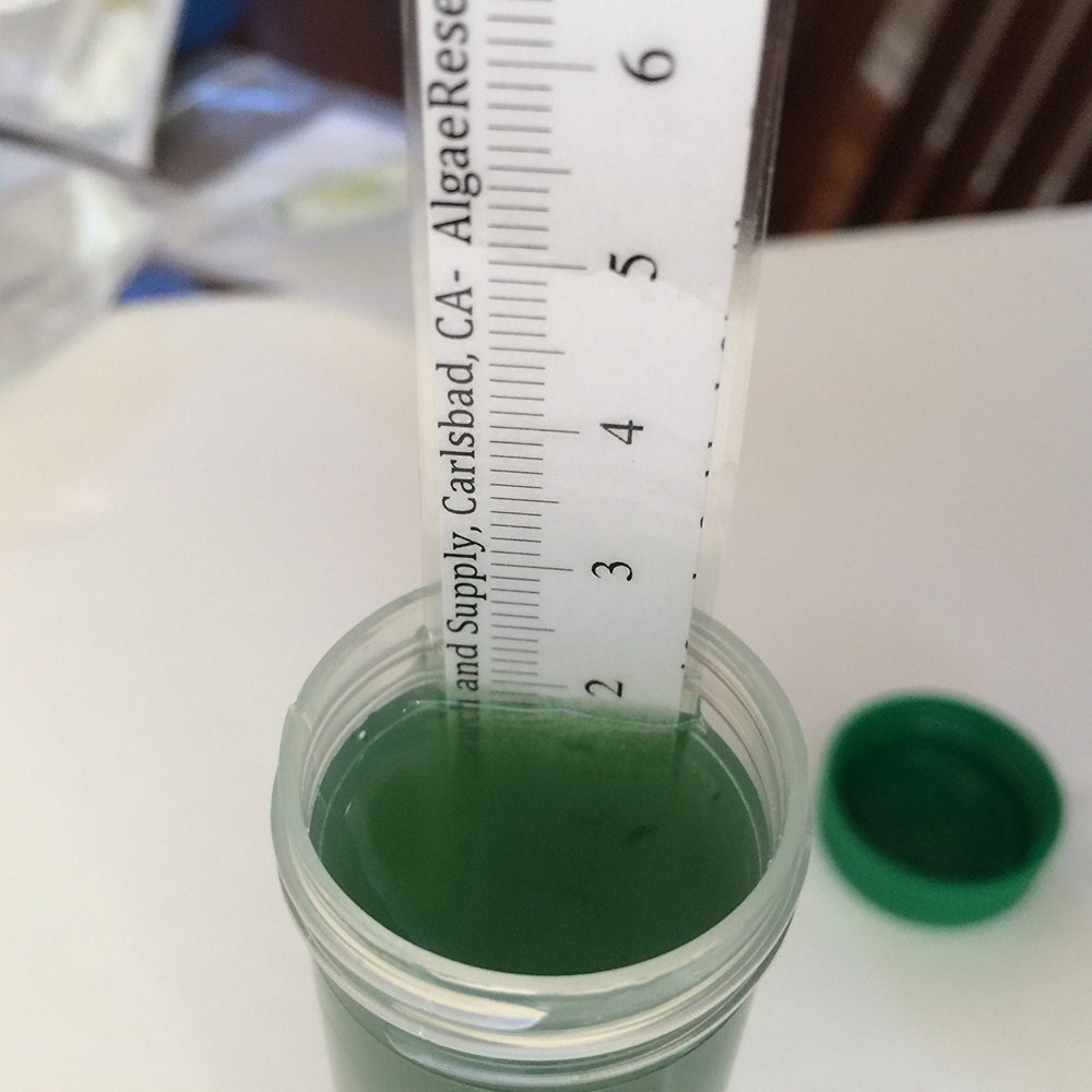 Algae Research Supply: Algae Culturing Project Kit for 25 Students: 7-