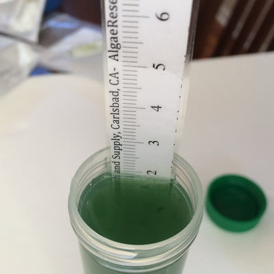 Algae Research Supply: Algae Culturing Project Kit for 25 Students: 7-