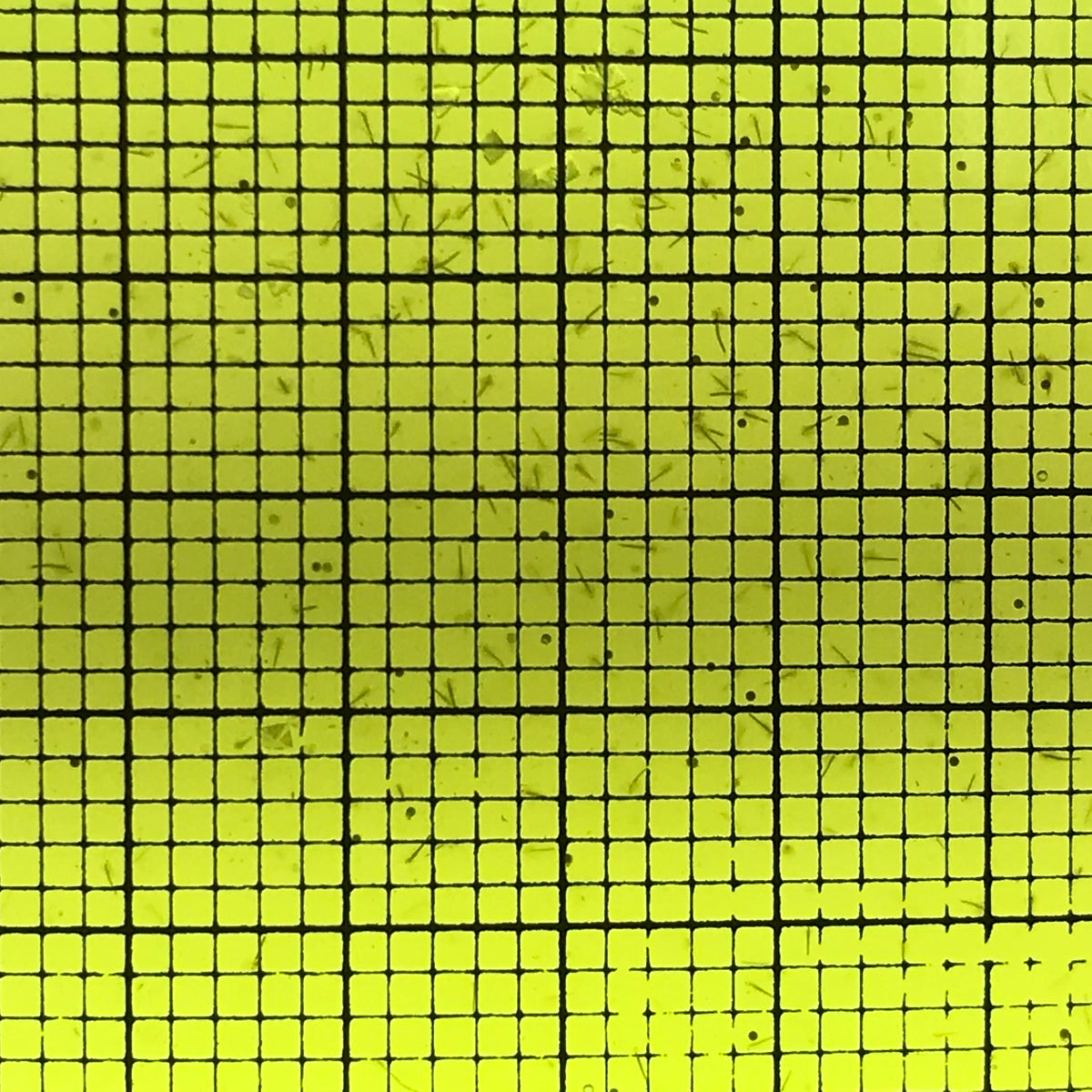 Beaker Bags - Algae Research Supply