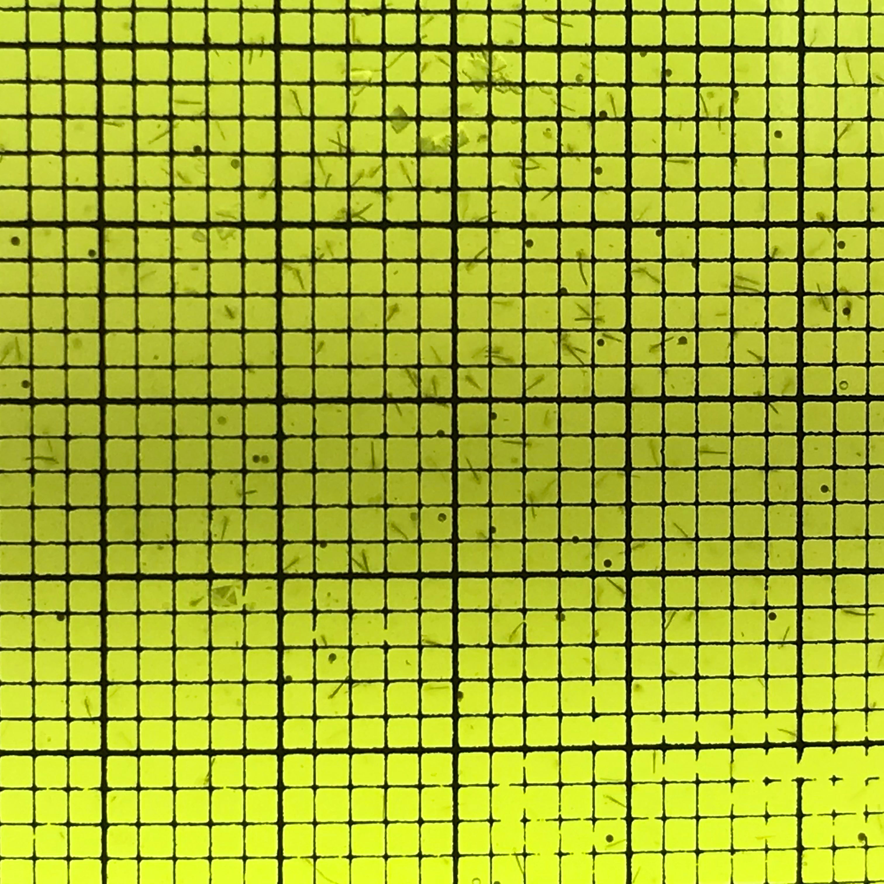 Beaker Bags - Algae Research Supply