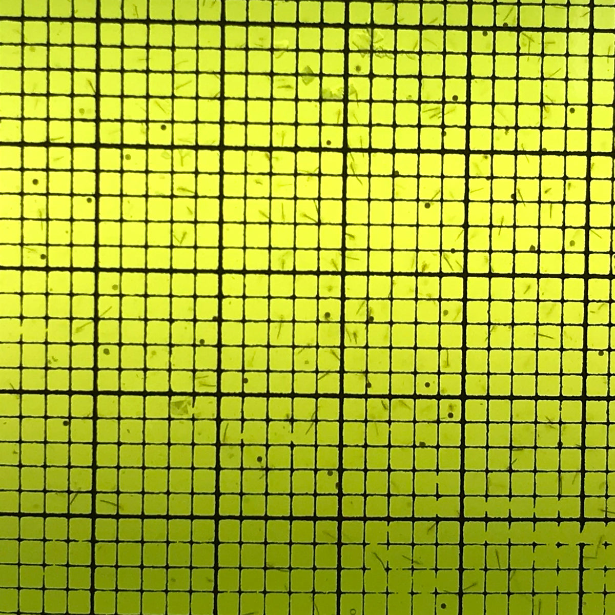 Beaker Bags - Algae Research Supply