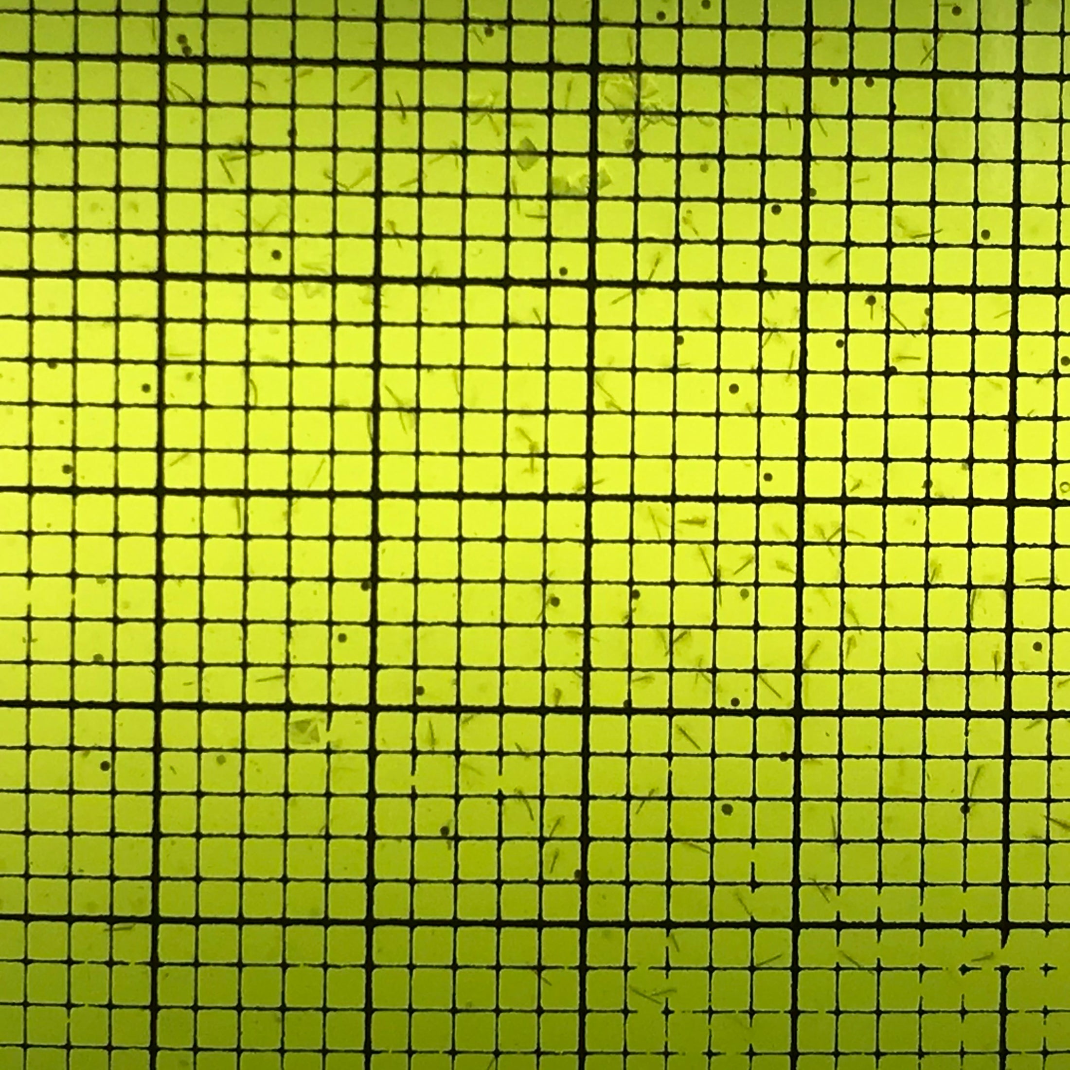 Beaker Bags – Algae Research Supply